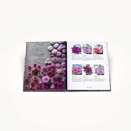 Floret Farm's Discovering Dahlias: A Guide to Growing and Arranging Magnificent Blooms (Floret Farms x Chronicle Books)