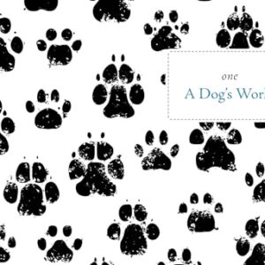 Dog Blessings: Poems, Prose, and Prayers Celebrating Our Relationship with Dogs