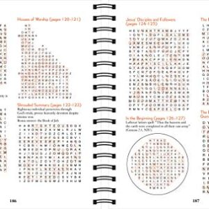 Brain Games - Bible Word Search (Large Print)