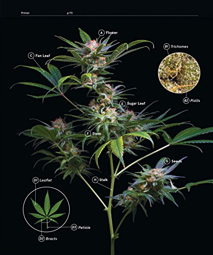 Green: A Field Guide to Marijuana: (Books about Marijuana, Guide to Cannabis, Weed Bible)