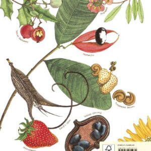 A Seed Is Sleepy: (Nature Books for Kids, Environmental Science for Kids) (Sylvia Long)