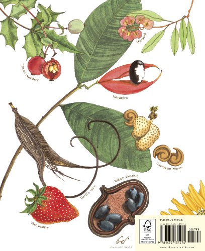 A Seed Is Sleepy: (Nature Books for Kids, Environmental Science for Kids) (Sylvia Long)