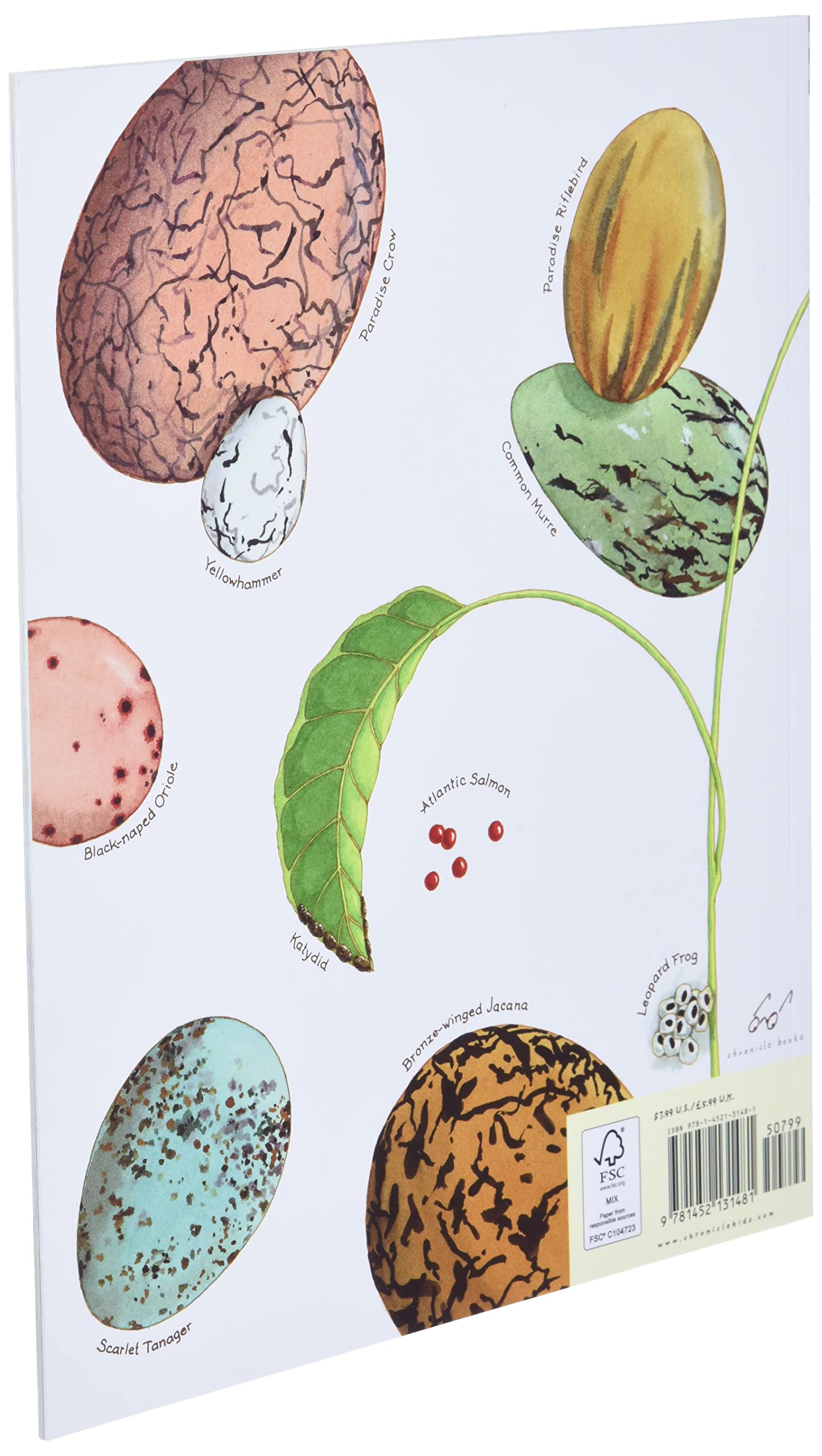 An Egg Is Quiet: (Picture Book, Kids Book about Eggs) (Sylvia Long)