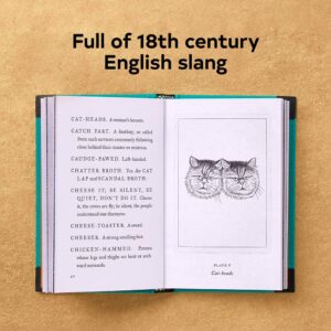 A Pocket Dictionary of the Vulgar Tongue: (Funny Book of Vintage British Swear Words, 18th Century English Curse Words and Slang)