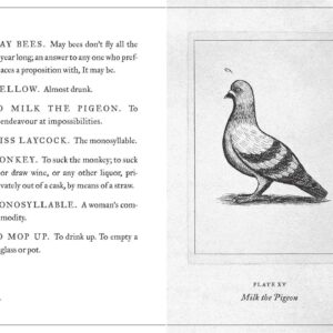 A Pocket Dictionary of the Vulgar Tongue: (Funny Book of Vintage British Swear Words, 18th Century English Curse Words and Slang)