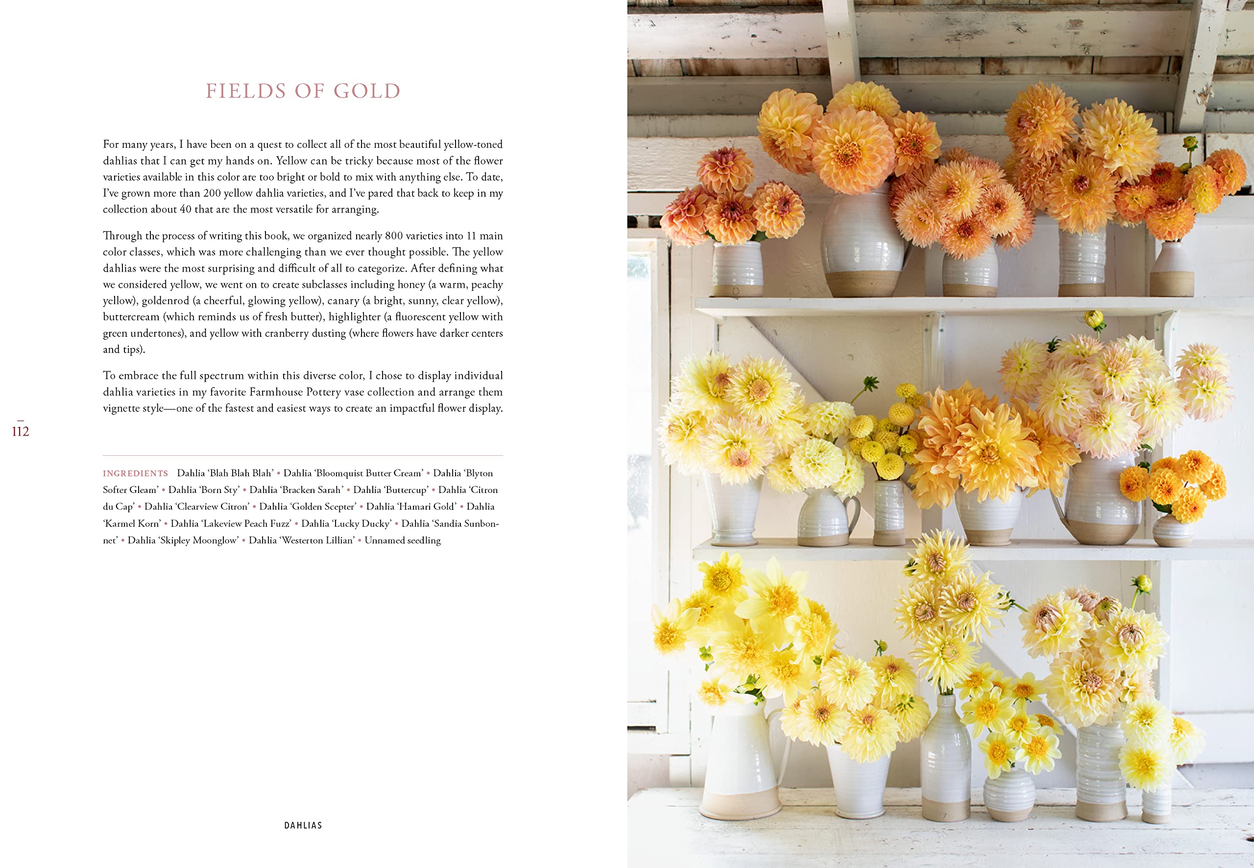 Floret Farm's Discovering Dahlias: A Guide to Growing and Arranging Magnificent Blooms (Floret Farms x Chronicle Books)