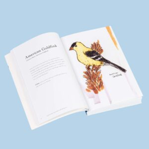 The Field Guide to Dumb Birds of North America (Bird Books, Books for Bird Lovers, Humor Books)