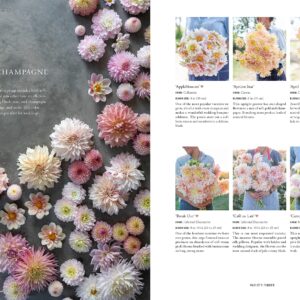 Floret Farm's Discovering Dahlias: A Guide to Growing and Arranging Magnificent Blooms (Floret Farms x Chronicle Books)