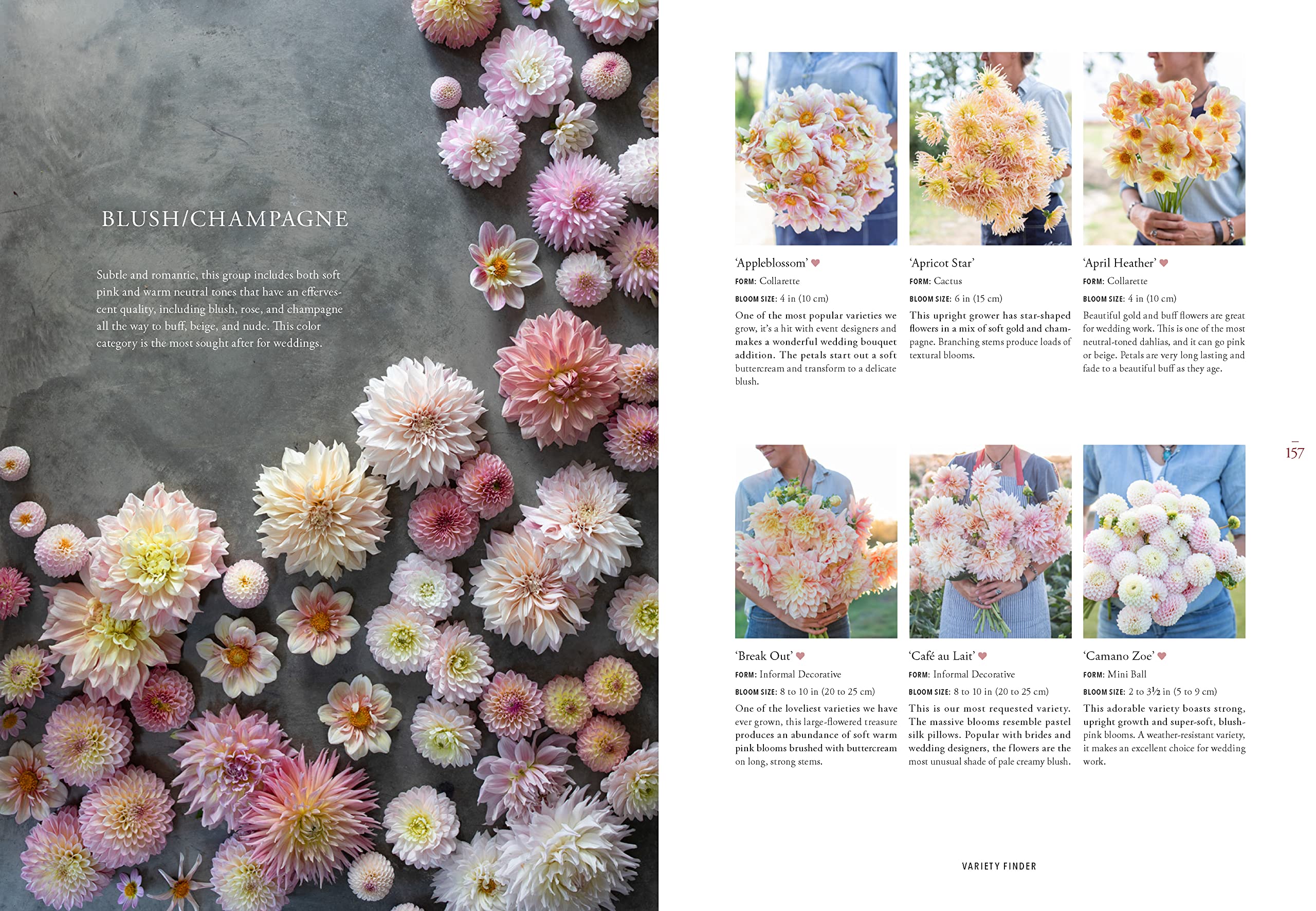 Floret Farm's Discovering Dahlias: A Guide to Growing and Arranging Magnificent Blooms (Floret Farms x Chronicle Books)