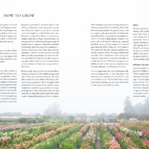 Floret Farm's Discovering Dahlias: A Guide to Growing and Arranging Magnificent Blooms (Floret Farms x Chronicle Books)