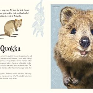 An Anthology of Intriguing Animals (DK Children's Anthologies)