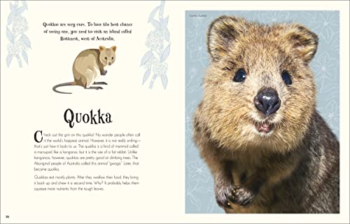 An Anthology of Intriguing Animals (DK Children's Anthologies)