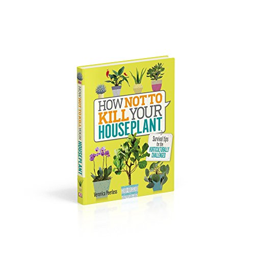 How Not to Kill Your Houseplant: Survival Tips for the Horticulturally Challenged