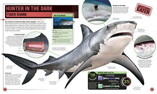 Super Shark Encyclopedia: And Other Creatures of the Deep (DK Super Nature Encyclopedias)