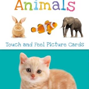 My First Touch and Feel Picture Cards: Animals (My First Board Books)