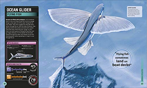 Super Shark Encyclopedia: And Other Creatures of the Deep (DK Super Nature Encyclopedias)