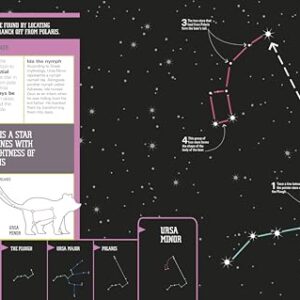 Star Finder!: A Step-by-Step Guide to the Night Sky