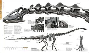 Dinosaurs and Prehistoric Life: The Definitive Visual Guide to Prehistoric Animals (DK Definitive Visual Encyclopedias)