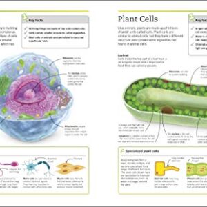 Super Simple Biology: The Ultimate Bitesize Study Guide (DK Super Simple)