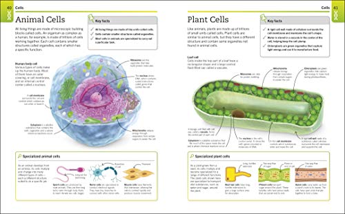 Super Simple Biology: The Ultimate Bitesize Study Guide (DK Super Simple)