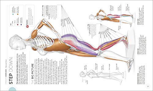 Science of Running: Analyze your Technique, Prevent Injury, Revolutionize your Training (DK Science of)