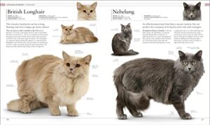 The Cat Encyclopedia: The Definitive Visual Guide (DK Pet Encyclopedias)