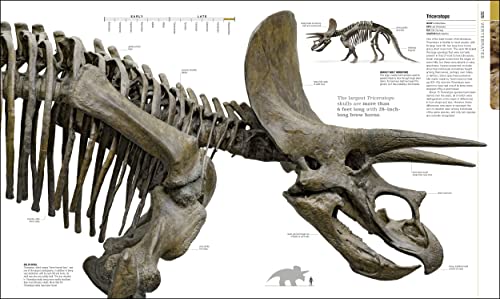 Dinosaurs and Prehistoric Life: The Definitive Visual Guide to Prehistoric Animals (DK Definitive Visual Encyclopedias)