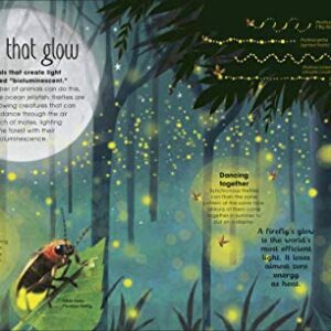 The Book of Brilliant Bugs (The Magic and Mystery of the Natural World)