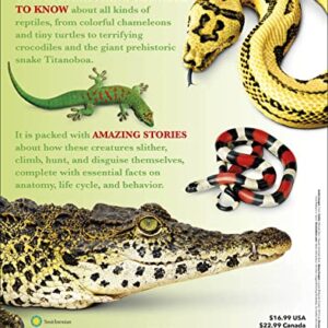 Everything You Need to Know About Snakes