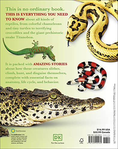 Everything You Need to Know About Snakes