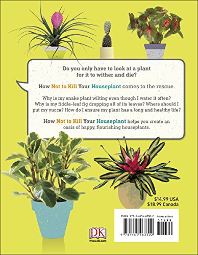 How Not to Kill Your Houseplant: Survival Tips for the Horticulturally Challenged