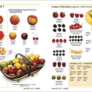 Russian-English Bilingual Visual Dictionary (DK Bilingual Visual Dictionaries)