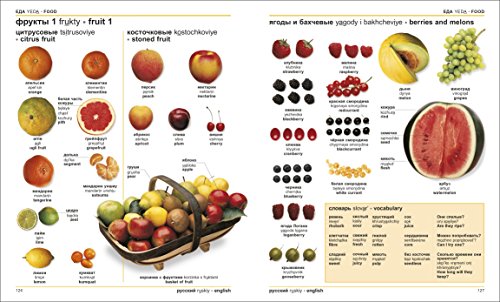 Russian-English Bilingual Visual Dictionary (DK Bilingual Visual Dictionaries)