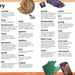 My Book of Rocks and Minerals: Things to Find, Collect, and Treasure