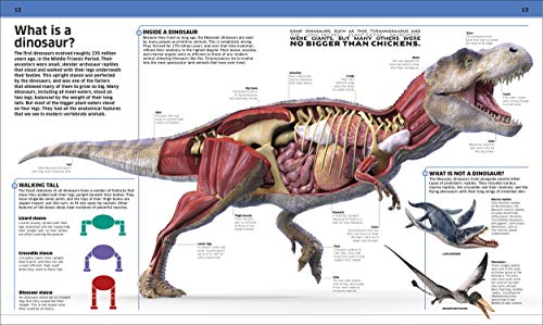 Knowledge Encyclopedia Dinosaur!: Over 60 Prehistoric Creatures as You've Never Seen Them Before (DK Knowledge Encyclopedias)