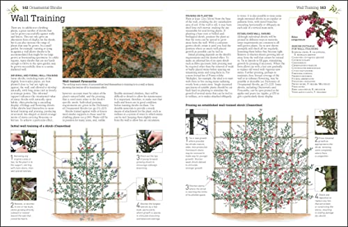 Pruning and Training, Revised New Edition: What, When, and How to Prune