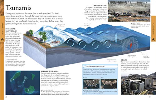 Geography: A Visual Encyclopedia (DK Children's Visual Encyclopedias)