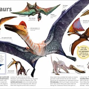 The Dinosaur Book