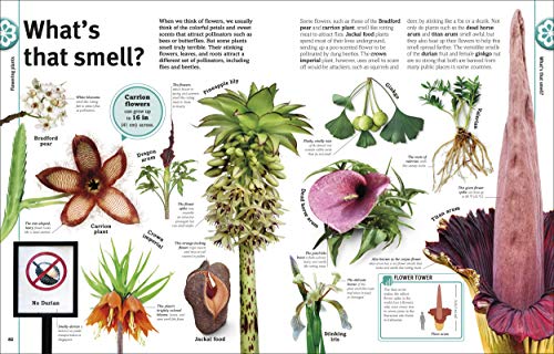 Trees, Leaves, Flowers and Seeds: A Visual Encyclopedia of the Plant Kingdom (DK Our World in Pictures)