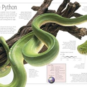 Snake: The Essential Visual Guide