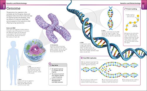 Super Simple Biology: The Ultimate Bitesize Study Guide (DK Super Simple)