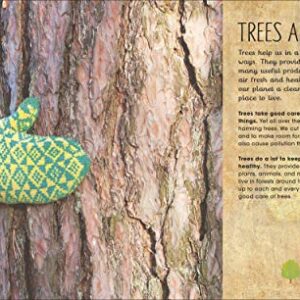 The Magic and Mystery of Trees (The Magic and Mystery of the Natural World)