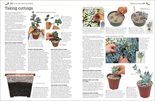 Propagating Plants: How to Create New Plants for Free