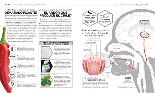 Cocinología (The Science of Cooking): La ciencia de cocinar (Spanish Edition)