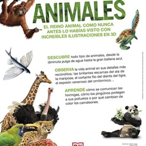 Animales (Knowledge Encyclopedia Animal!): El reino animal como nunca lo habías visto (DK Knowledge Encyclopedias) (Spanish Edition)