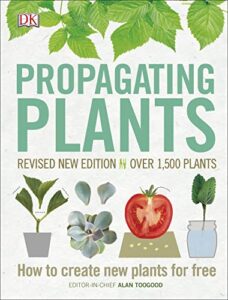 propagating plants: how to create new plants for free