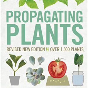 Propagating Plants: How to Create New Plants for Free