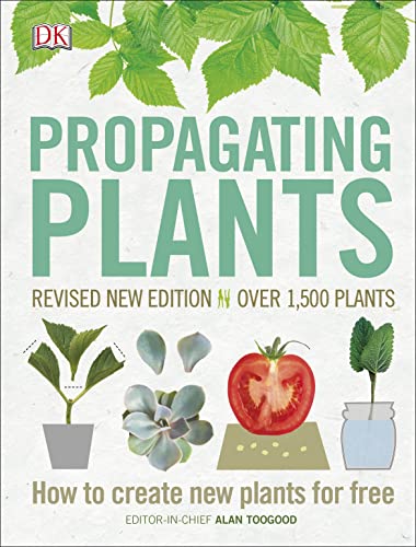 Propagating Plants: How to Create New Plants for Free