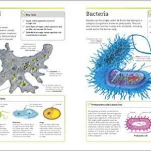 Super Simple Biology: The Ultimate Bitesize Study Guide (DK Super Simple)