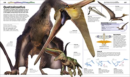 Knowledge Encyclopedia Dinosaur!: Over 60 Prehistoric Creatures as You've Never Seen Them Before (DK Knowledge Encyclopedias)